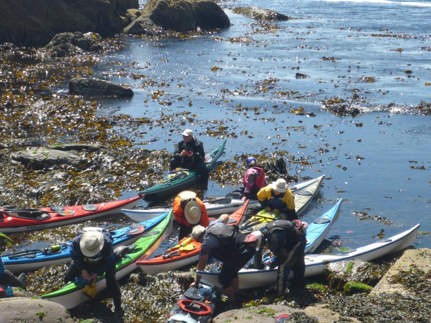 Kayaking Ireland’s Dingle Peninsula – Florida Waterscapes