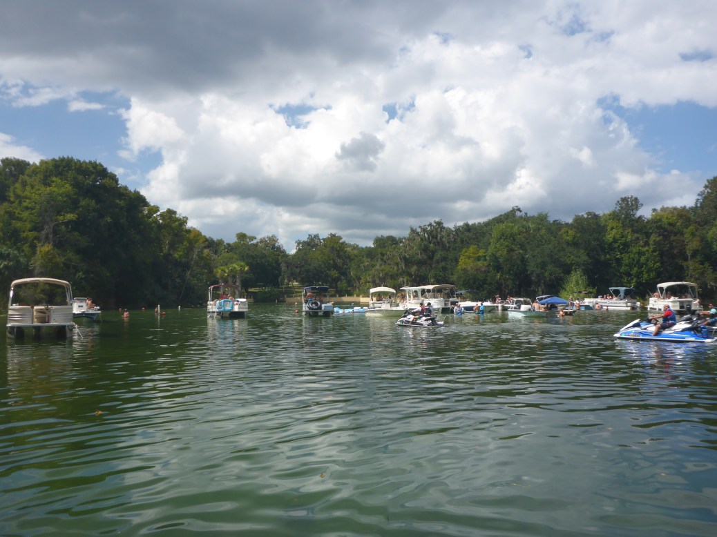 Imagining William Bartram’s Salt Springs – Florida Waterscapes