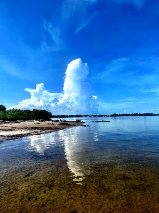 SUP and Sail Under the Sunshine Skyway – Florida Waterscapes